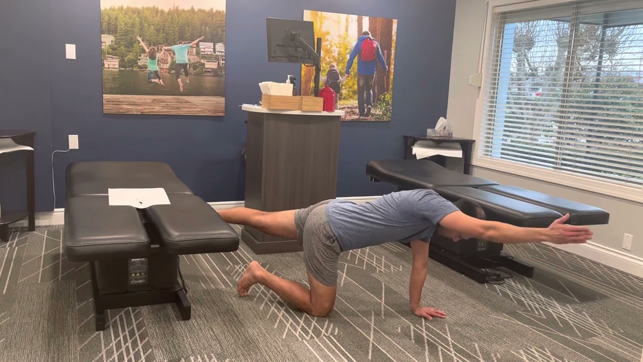 Bird dog exercise - Stuart Chiropractic
